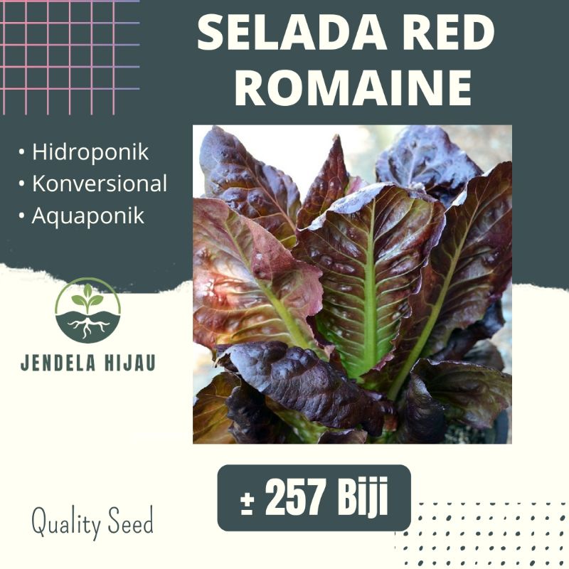 Jual Benih Selada Red Romaine Known-You Seed - Bibit Tanaman Sayuran Repack. | Shopee Indonesia