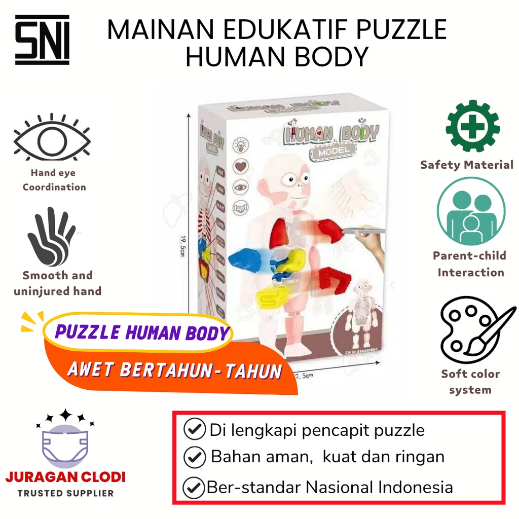 Jual Mainan edukasi Puzzle 3D Human Anatomy Tubuh Organ Manusia ...