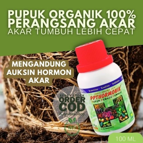 Jual Pupuk Perangsang Akar Tanaman Anggrek Hormon ZPT Pemicu Penumbuh ...