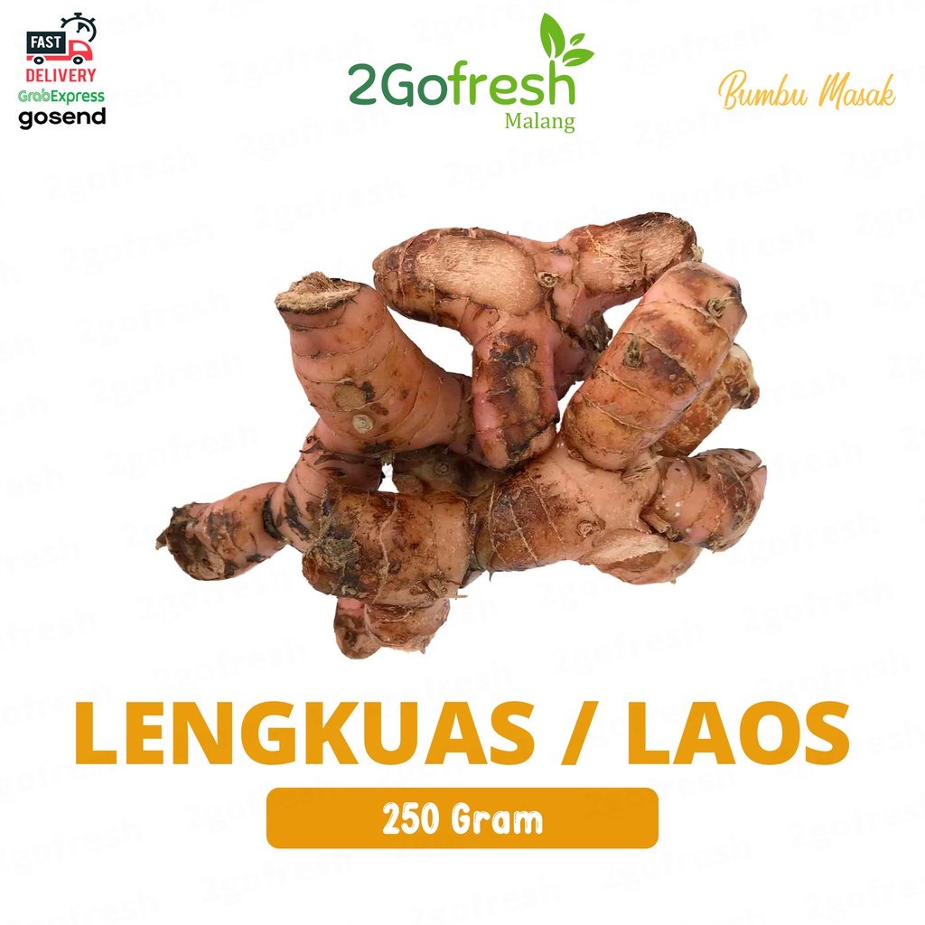 Jual Bumbu Lengkuas/ Laos Fresh - Rempah Sayur Sayuran | Shopee Indonesia