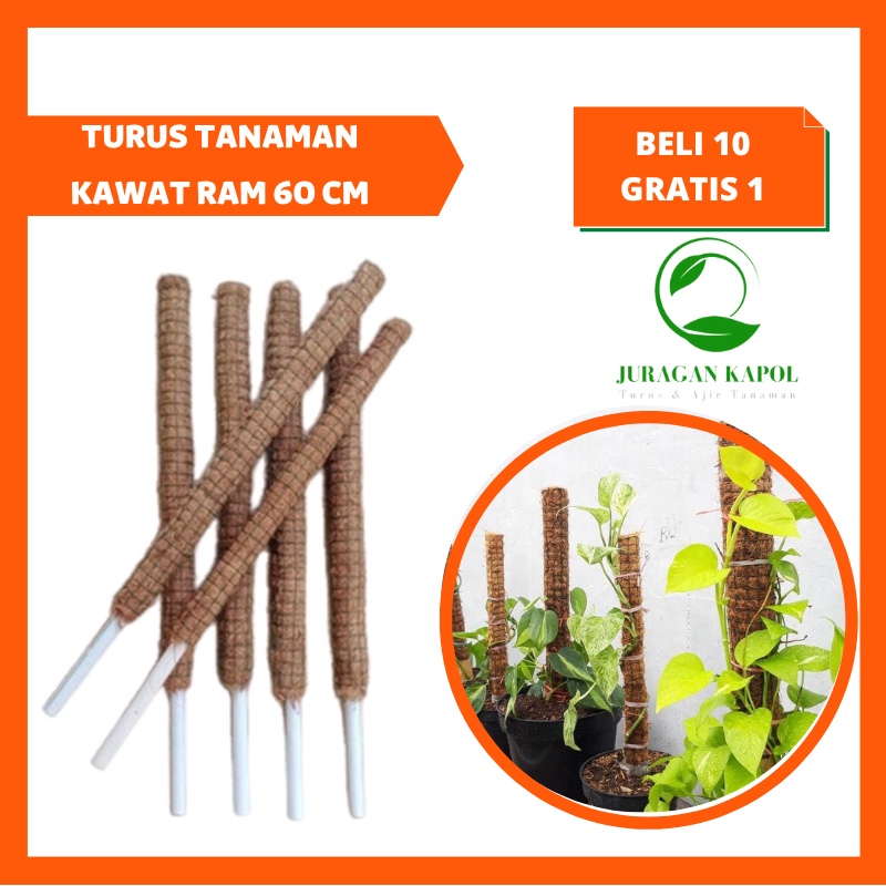 Jual Turus Tanaman Rambat kawat Ram 60 cm | Shopee Indonesia