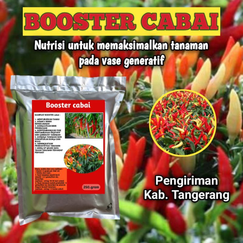 Jual Pupuk booster cabai perangsang bunga dan pelebat buah anti rontok kemasan 250 gram bisa cod ...