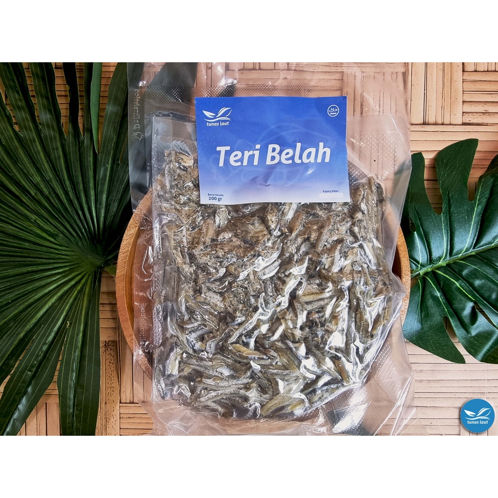 Jual TUNAS LAUT Ikan Teri Belah Super IKAN ASIN Salted Fish 200Gr | TL ...