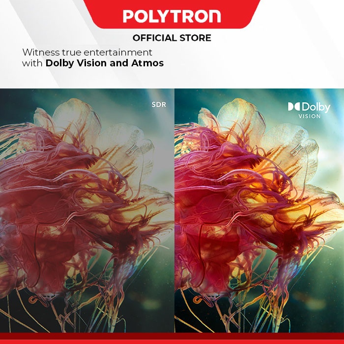 Jual POLYTRON 4K UHD Smart Google TV 55 Inch PLD 55UG5959 | Shopee ...