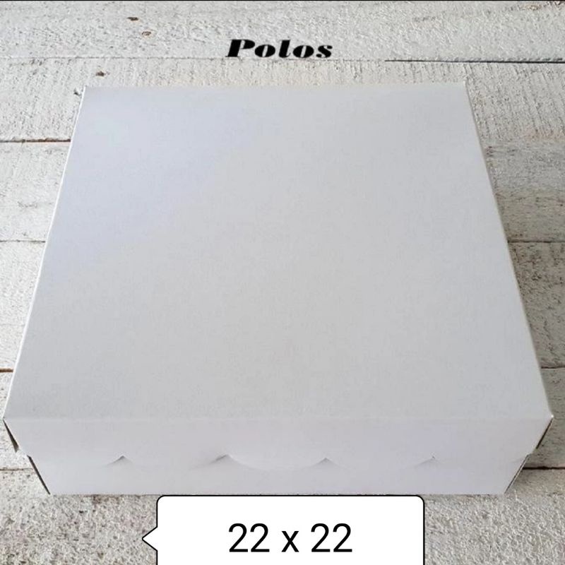 Jual KOTAK NASI 22X22 BOX NASI | Shopee Indonesia