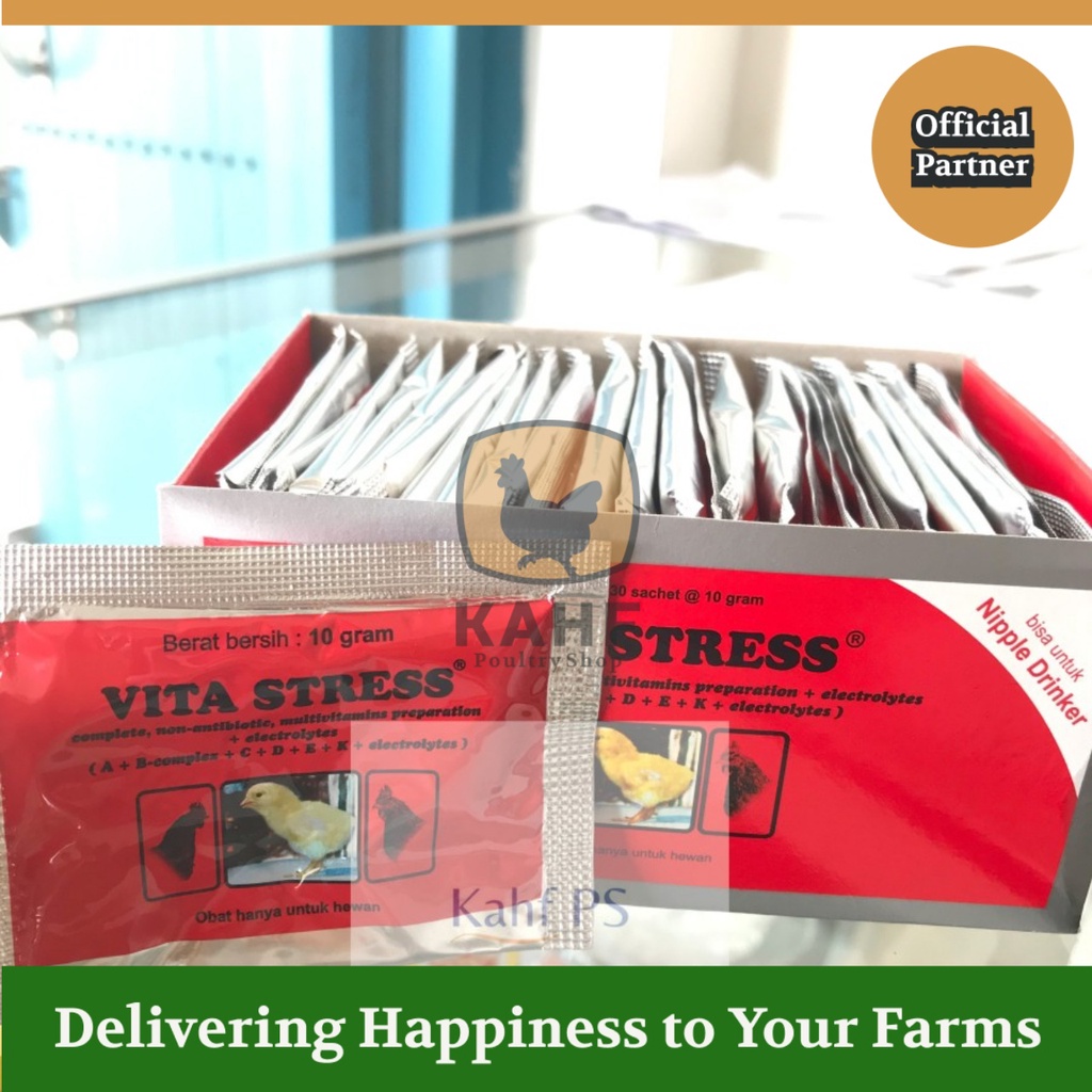 Jual Vita Stress 10 gram Multivitamin dan Elektrolit Obat Stress Ayam ...
