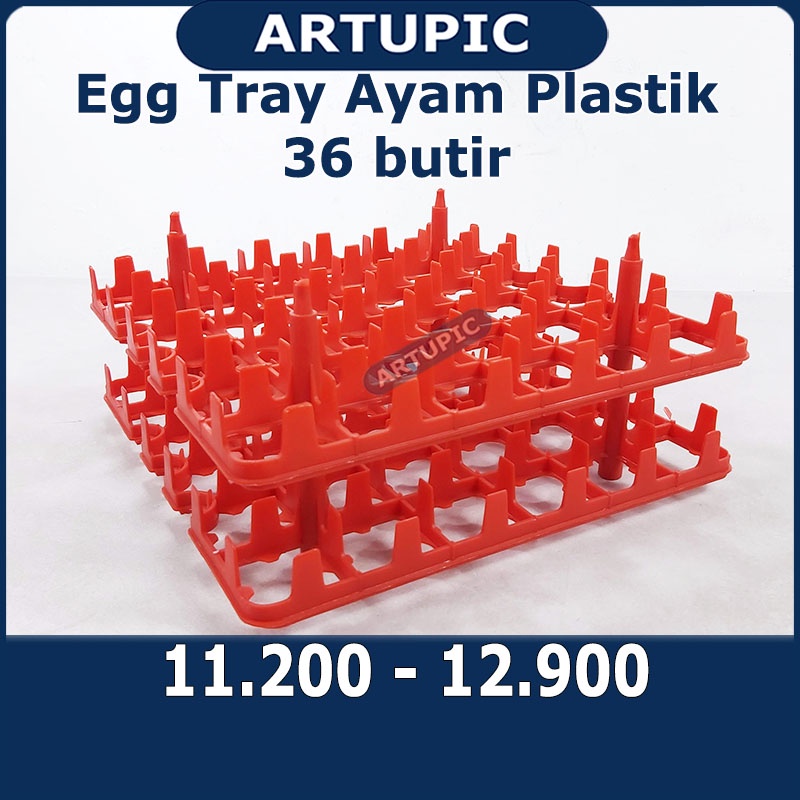 Jual EGG TRAY TELUR AYAM 36 BUTIR RAK TEMPAT TELUR TELOR | Shopee Indonesia