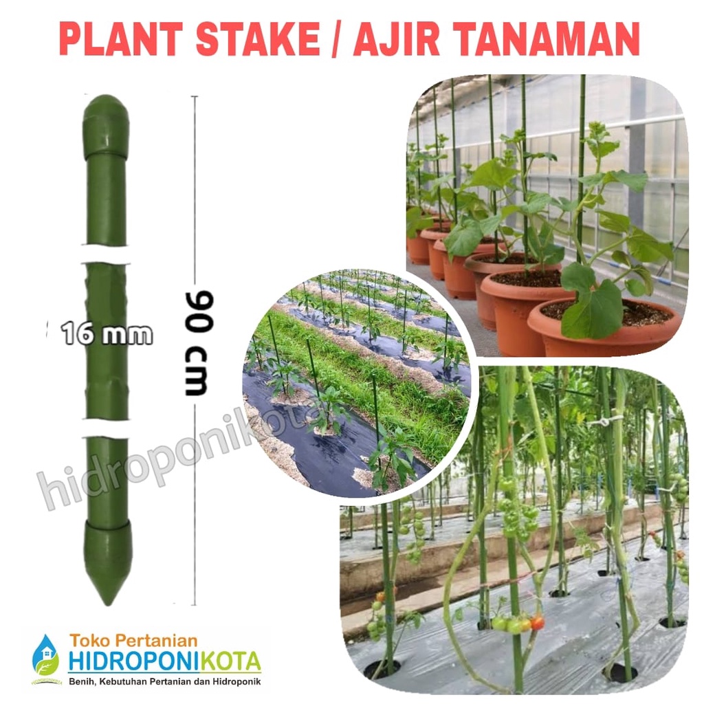 Jual Ajir Lurus 16 mm X 90 cm - Penyangga tanaman/Plant Stake | Shopee ...