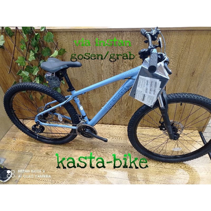 Jual Sepeda Gunung/MTB Polygon CASCADE 3 | Shopee Indonesia