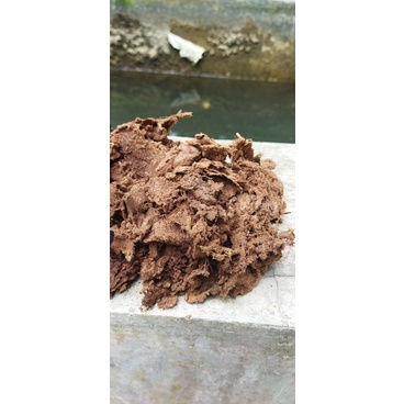 Jual kawul atau bulu halus dari pohon aren 100 gram | Shopee Indonesia