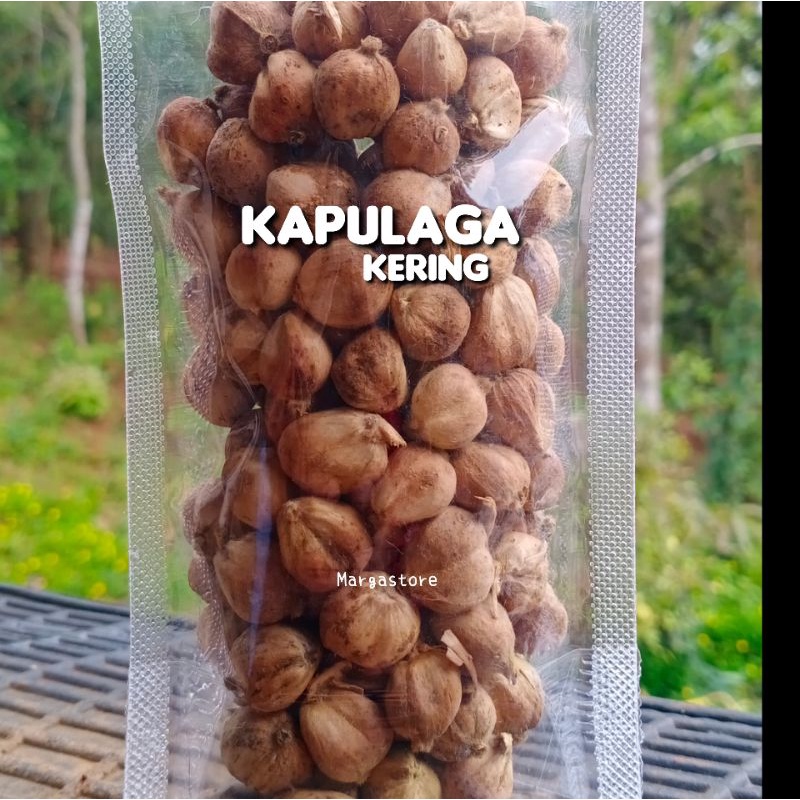 Jual Kapulaga Kering 250gr Kapulaga Jawa True Cardamom Kapulaga Premium ...