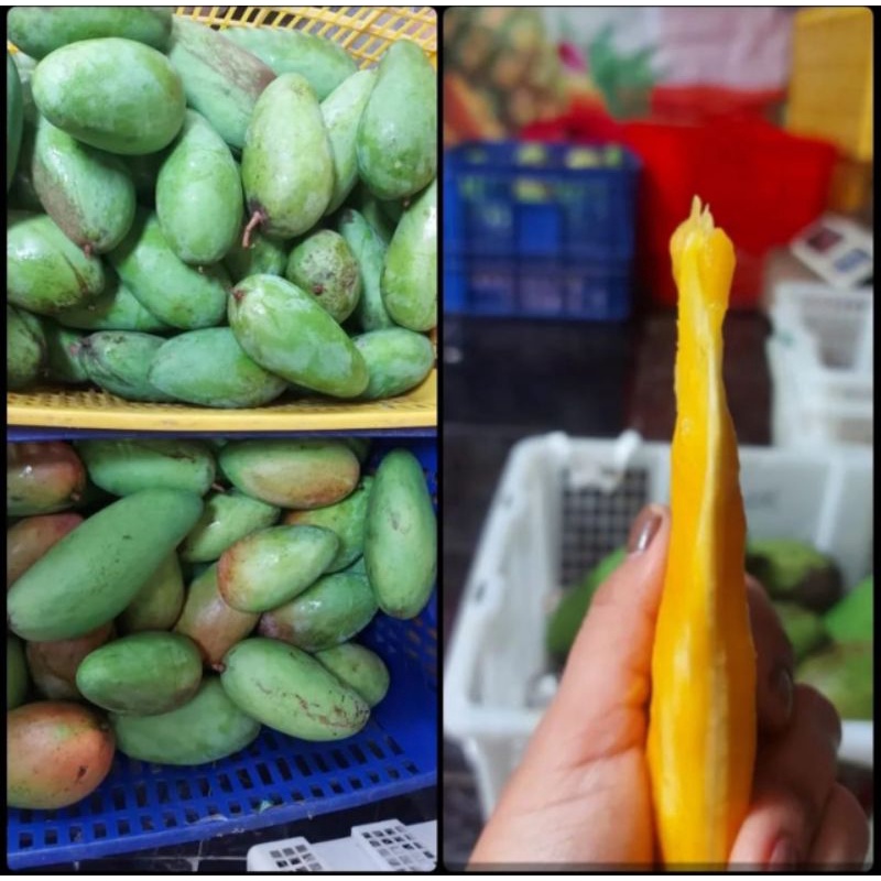 Jual Mangga Kiojay Thailand -+800gr | Shopee Indonesia