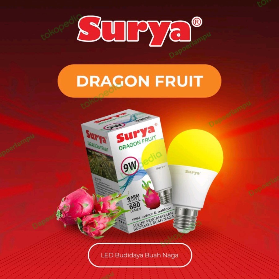 Jual Lampu LED 9w SURYA Budi Daya Buah Naga Surya Dragon Fruit Warm White | Shopee Indonesia