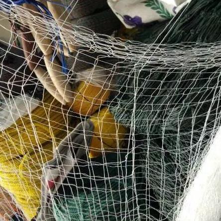 Jual Jaring Udang Jaring Ikan 3 Lapis Bahan Nilon | Shopee Indonesia