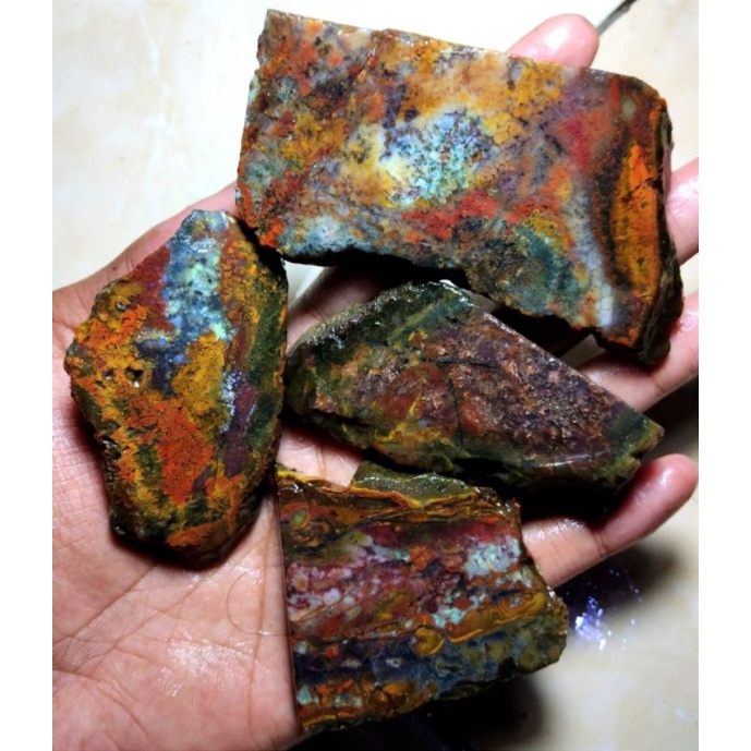 Jual pancawarna garut | Shopee Indonesia