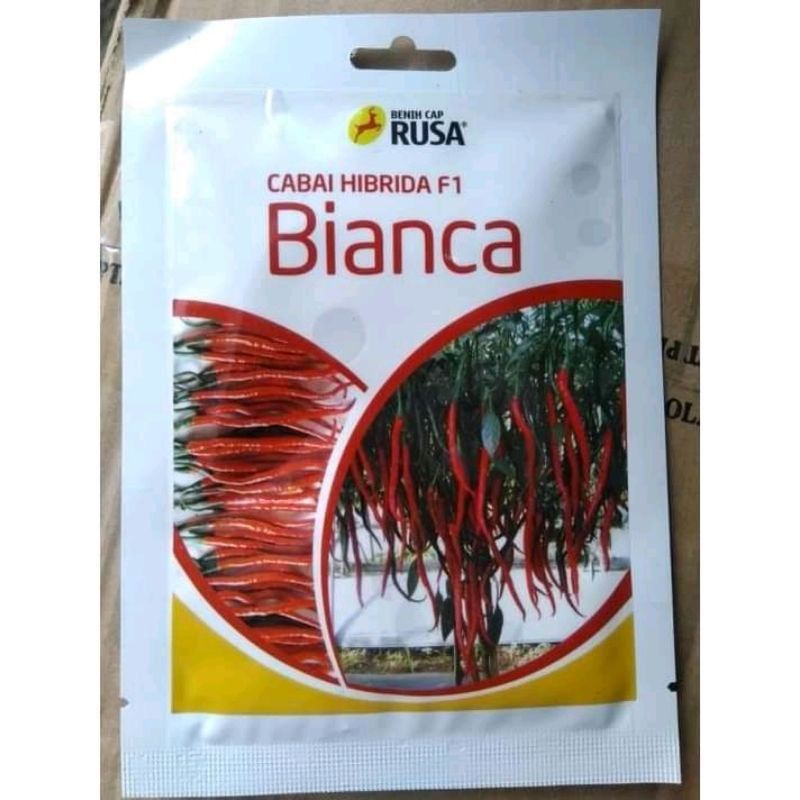 Jual Benih bibit Cabe keriting BIANCA F1 10 gram kemasan original ...