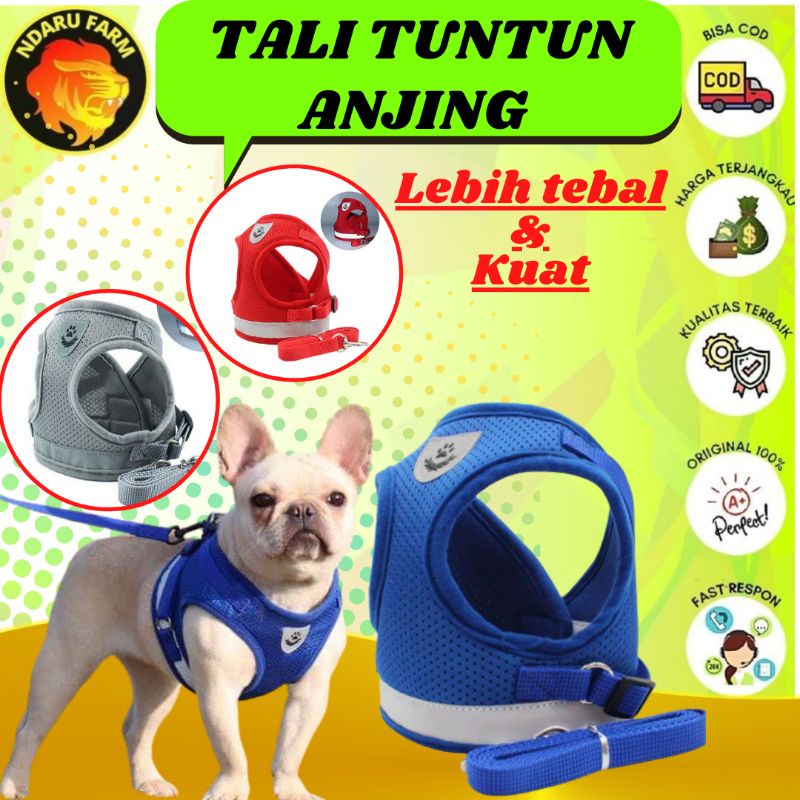Jual TALI TUNTUN KUCING TALI HARNESS KUCING HARNESS KUCING TALI TUNTUN ...
