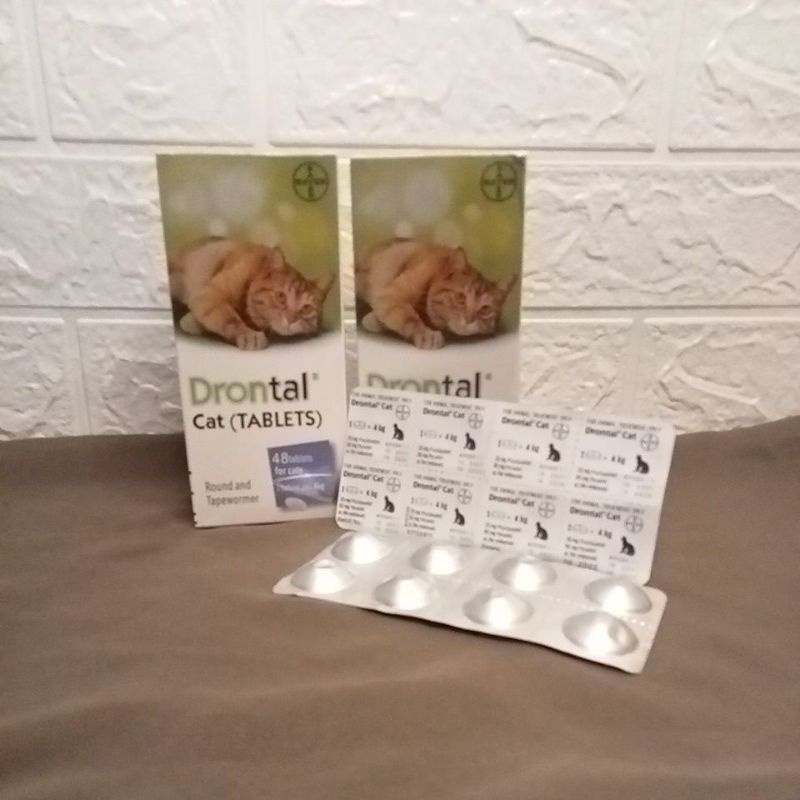 Jual DRONTAL CAT ORIGINAL-OBAT CACING KUCING 1 TABLET ED 2026 | Shopee ...