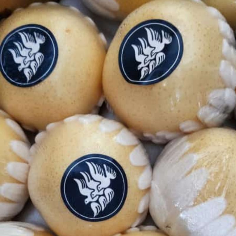 Jual Buah Pir Golden / Golden Pear Manis Renyah Juicy | Shopee Indonesia