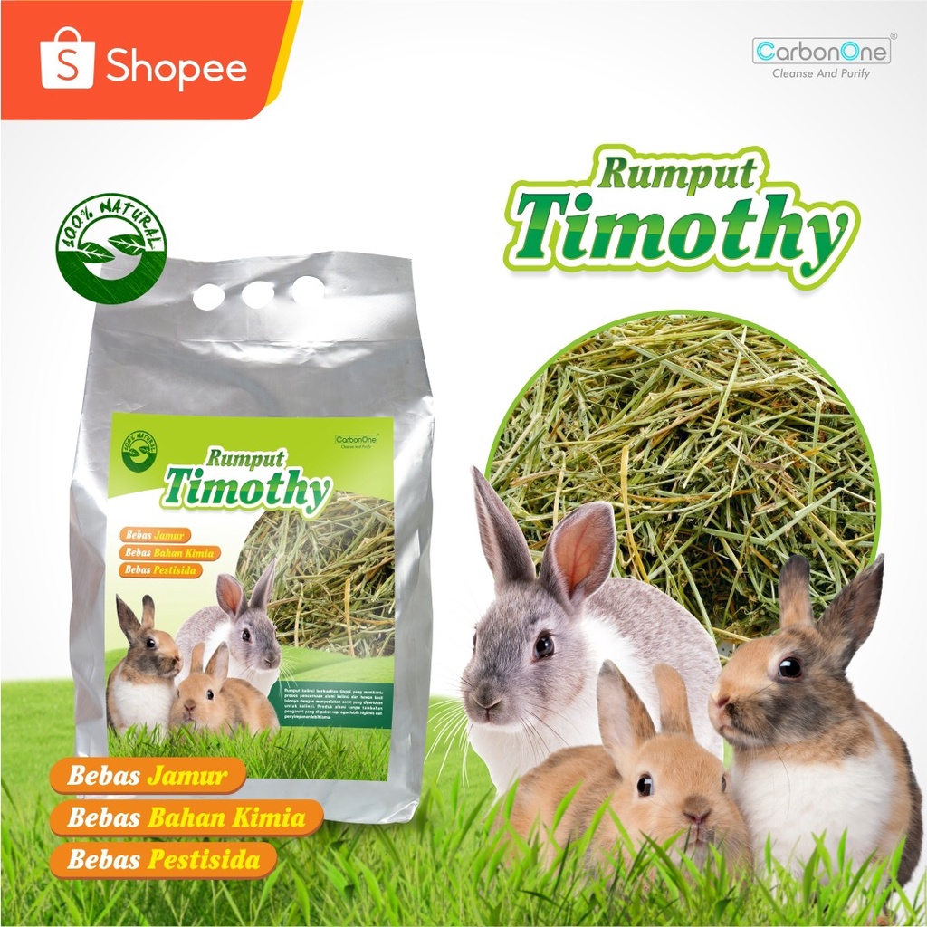 Jual Rumput Timothy ( Pakan Kelinci Ukuran 500 gram) | Shopee Indonesia