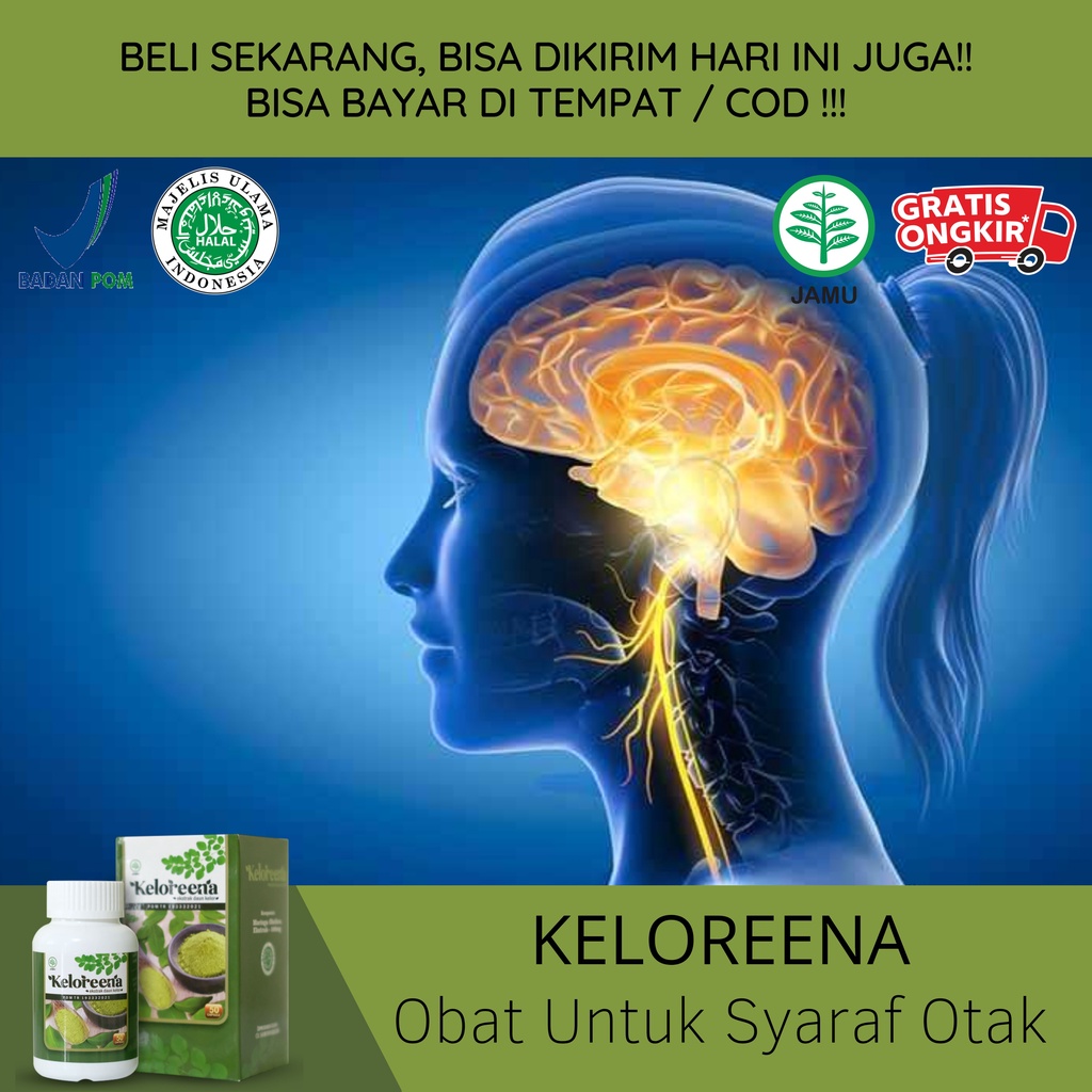 Jual Obat alami cegah gangguan saraf otak, obat gejala meningitis ...