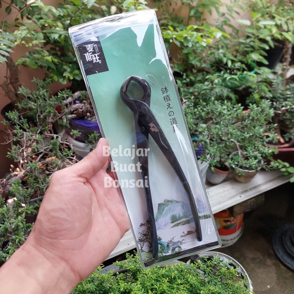 Jual Catok Bonsai Model Bulat Cembung Bahan Carbon 18 Cm | Shopee Indonesia