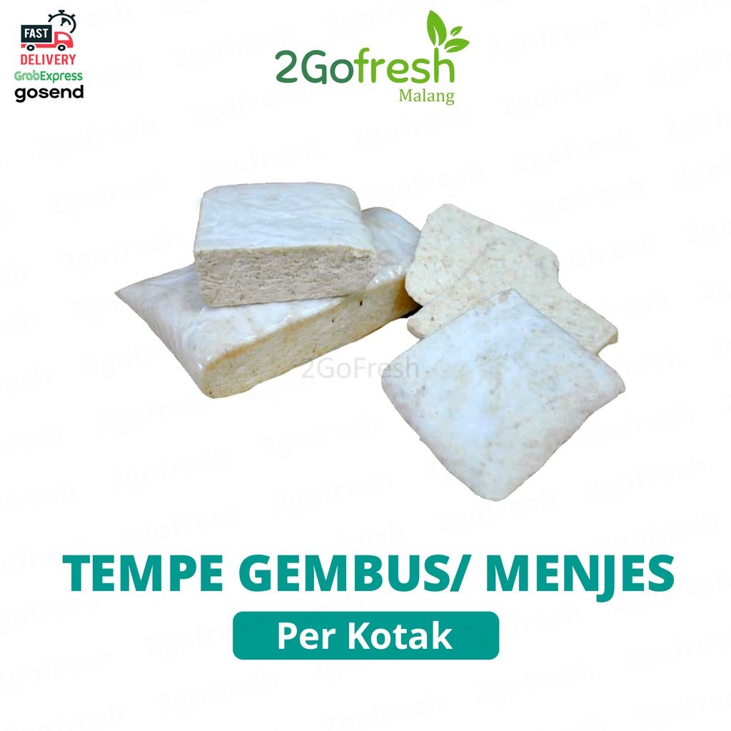 Jual Tempe Gembus/ Menjes Mentah Fresh - Sayur Sayuran | Shopee Indonesia