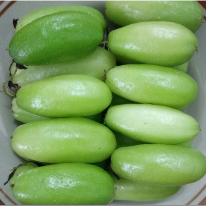 Jual 200gr Belimbing Wuluh Langsung Petik dari Pohon / Belimbing Wuluh ...