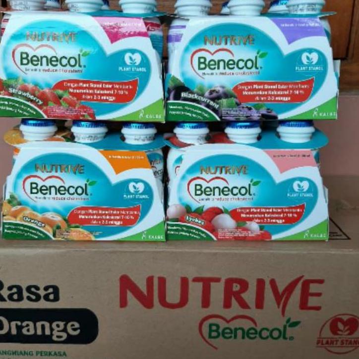 Jual Mau?--Nutrive Benecol 1 karton 1 Dus isi 36 botol 6x6pack 100ml minuman penurun kolesterol ...