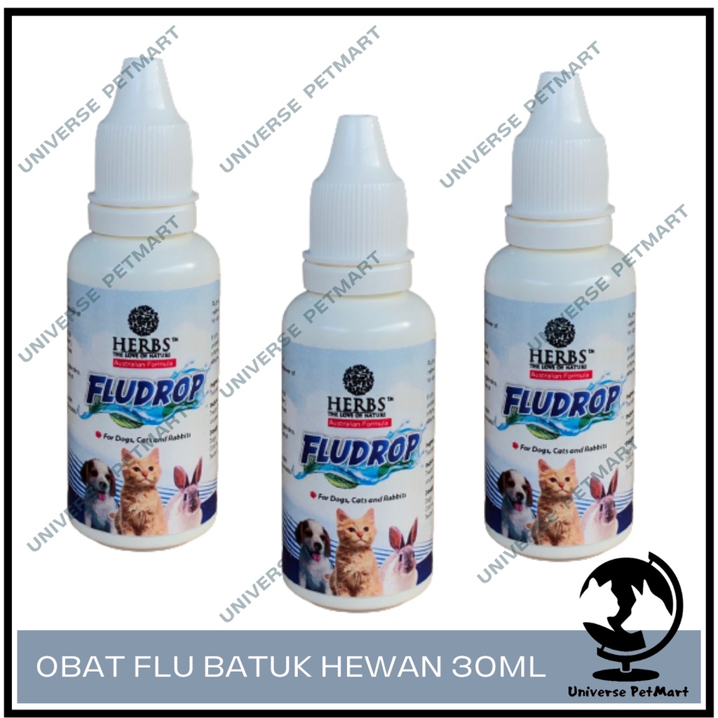 Jual Obat Flu Batuk Demam 30ml / Herbs Flu Drop Kucing Anjing Kelinci ...