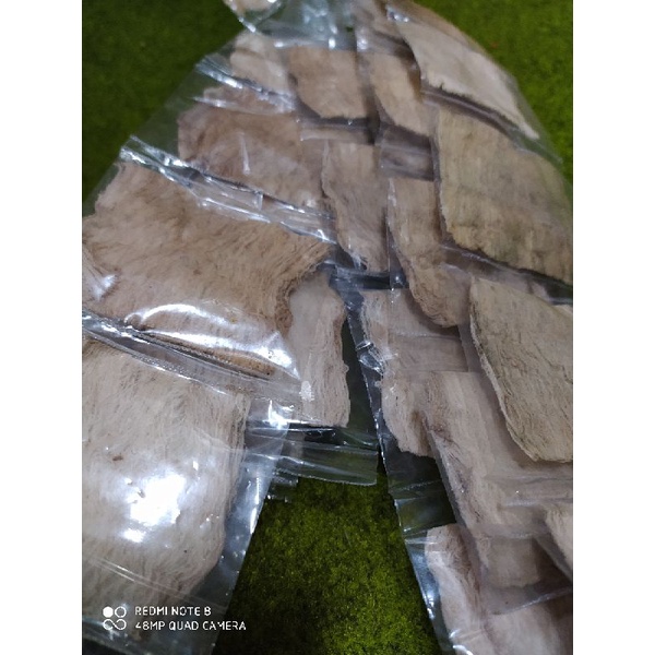 Jual SERAT PENA TUTUL ARES GEDEBONG PISANG RAMAT GEBOG CAU | Shopee ...