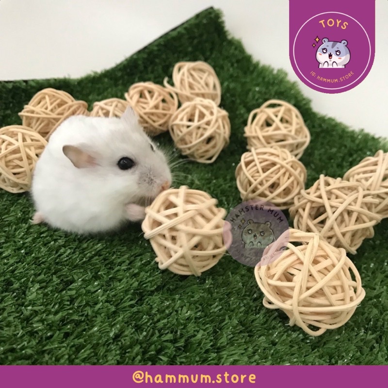 Jual [3PC] BOLA ROTAN HAMSTER 3 Cm | Gigitan Rotan Bola Mini Kecil ...