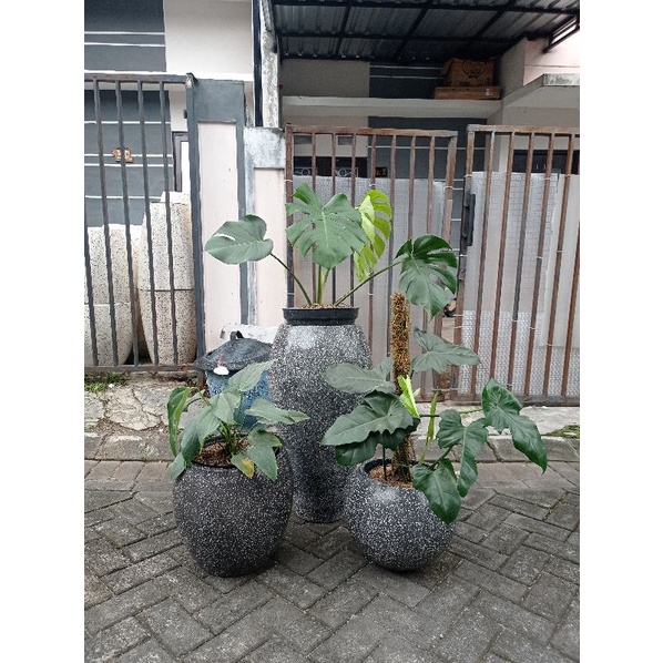 Jual Model Guci Pot Teraso/Terrazzo | Shopee Indonesia