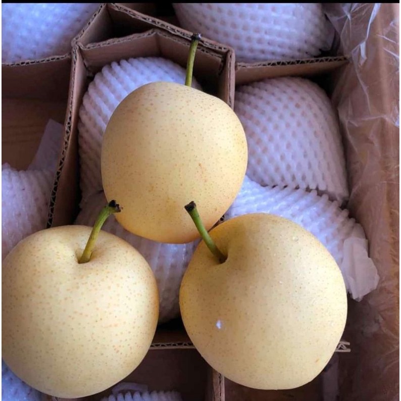 Jual COD 1 KG ANEKA BUAH BUAHAN SEGAR IMPORT DAN LOKAL MANGGA MADU ...