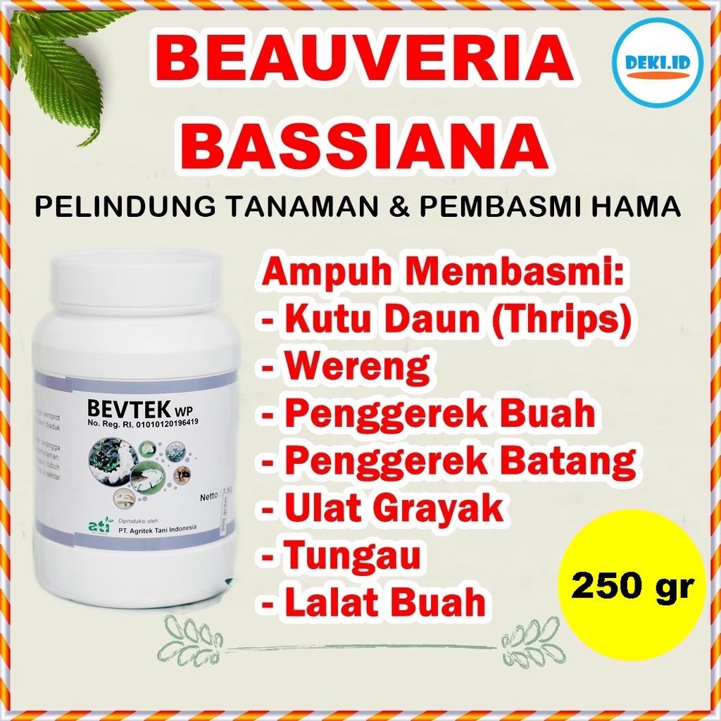 Jual Bevtek WP 250 Gram Pestisida Organik Beauveria Bassiana Jamur ...