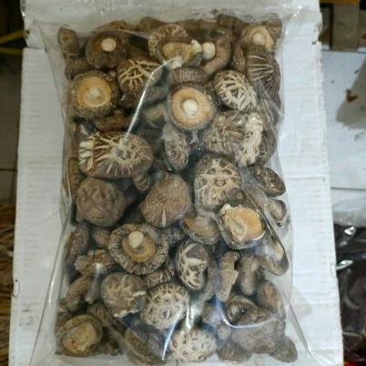 Jual Jamur Shitake / Huako / Hioko / Fragrant Mushroom 4-5 cm (1kg ...