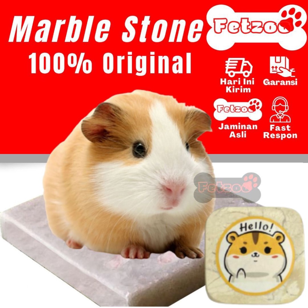 Jual Marble Stone Cooling Pad For Hamster Batu Marmer Alas Pendingin ...