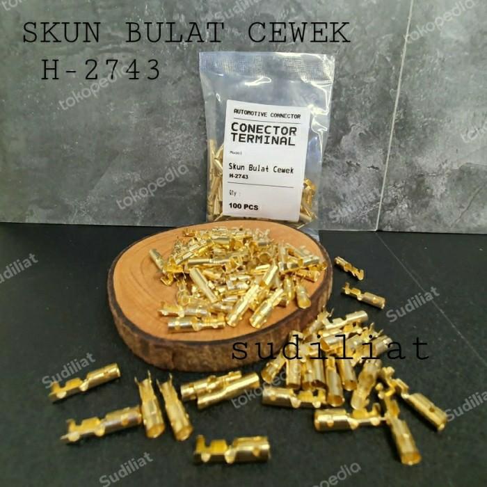 Jual Listrik Terminal Skun Cewek Bulat / Female Skun H-2743 Paket 100 ...