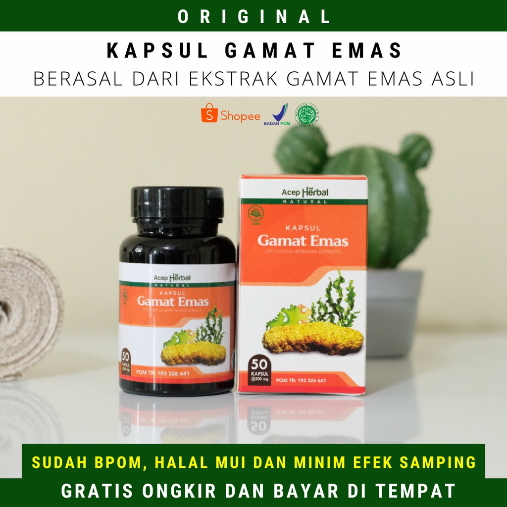 Jual Obat Hernia, Hernia Inguinalis, Hernia Femoralis, Turun Berok ...