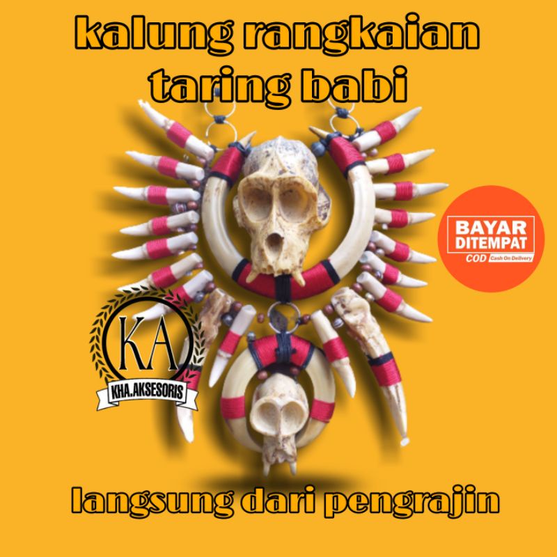 Jual Kalung Etnik Dayak Taring Babi Variasi Kalung Kepala Monyet Dan ...
