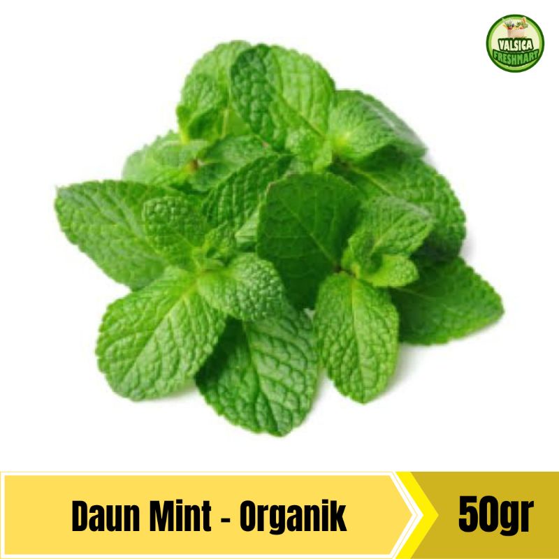 Jual Daun Mint Segar | Shopee Indonesia