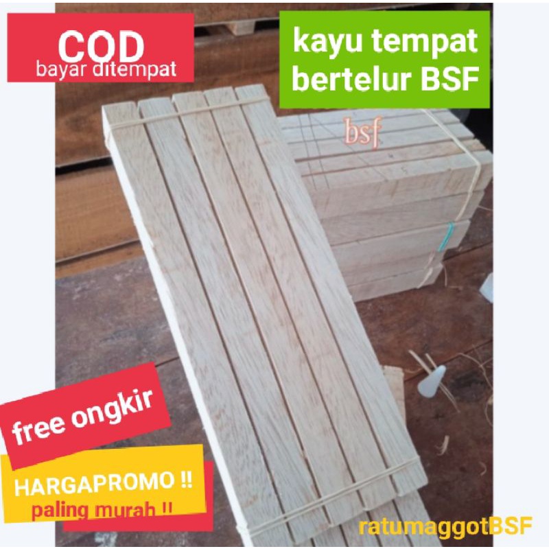 Jual PROMO !! eggis kayu tempat telur bsf. | Shopee Indonesia