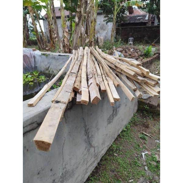 Jual Bambu Petung untuk packing rangka layangan dan sendaren | Shopee ...
