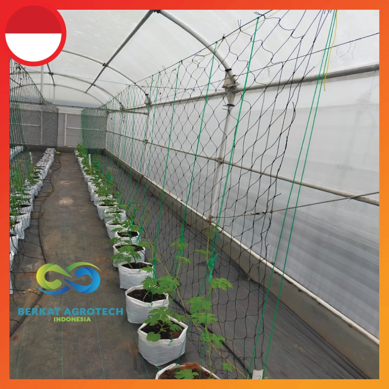 Jual Jaring Rambat Tanaman / 2 x 50 m | Shopee Indonesia