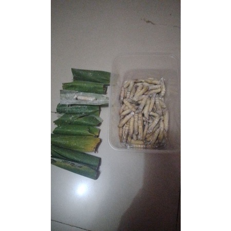 Jual ulet/kepompong pisang | Shopee Indonesia
