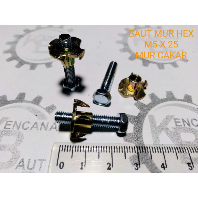 Jual BAUT SPEAKER M5 X 25 HEX GALVANIS KUNCI 8 PANJANG 2,5 CM & MUR CAKAR | Shopee Indonesia