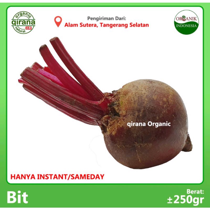Jual Beet Root Organik ~500g | Shopee Indonesia