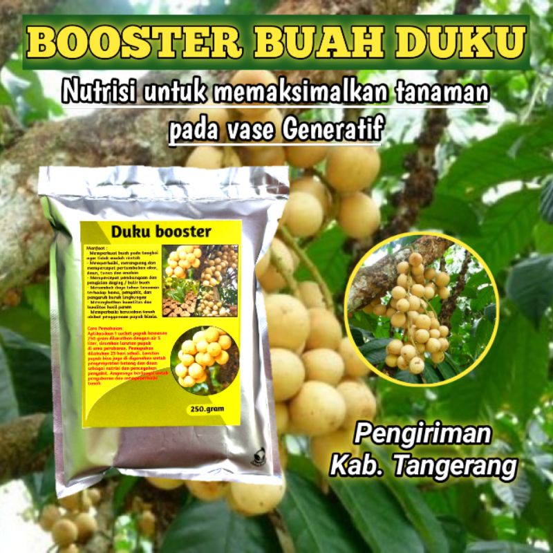 Jual Pupuk booster buah duku perangsang bunga dan pelebat buah kemasan 250 gram bisa COD promo ...