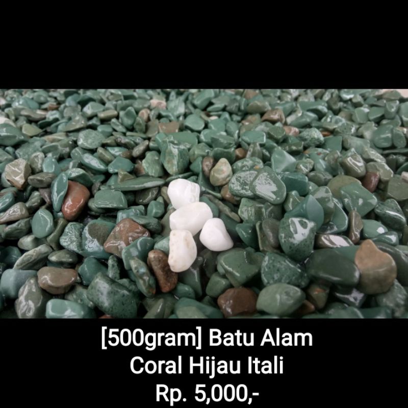 Jual Batu Alam Coral Hijau Itali Flores Koral Panca Warna Aquascape Akuarium Dasar Pot Bunga ...