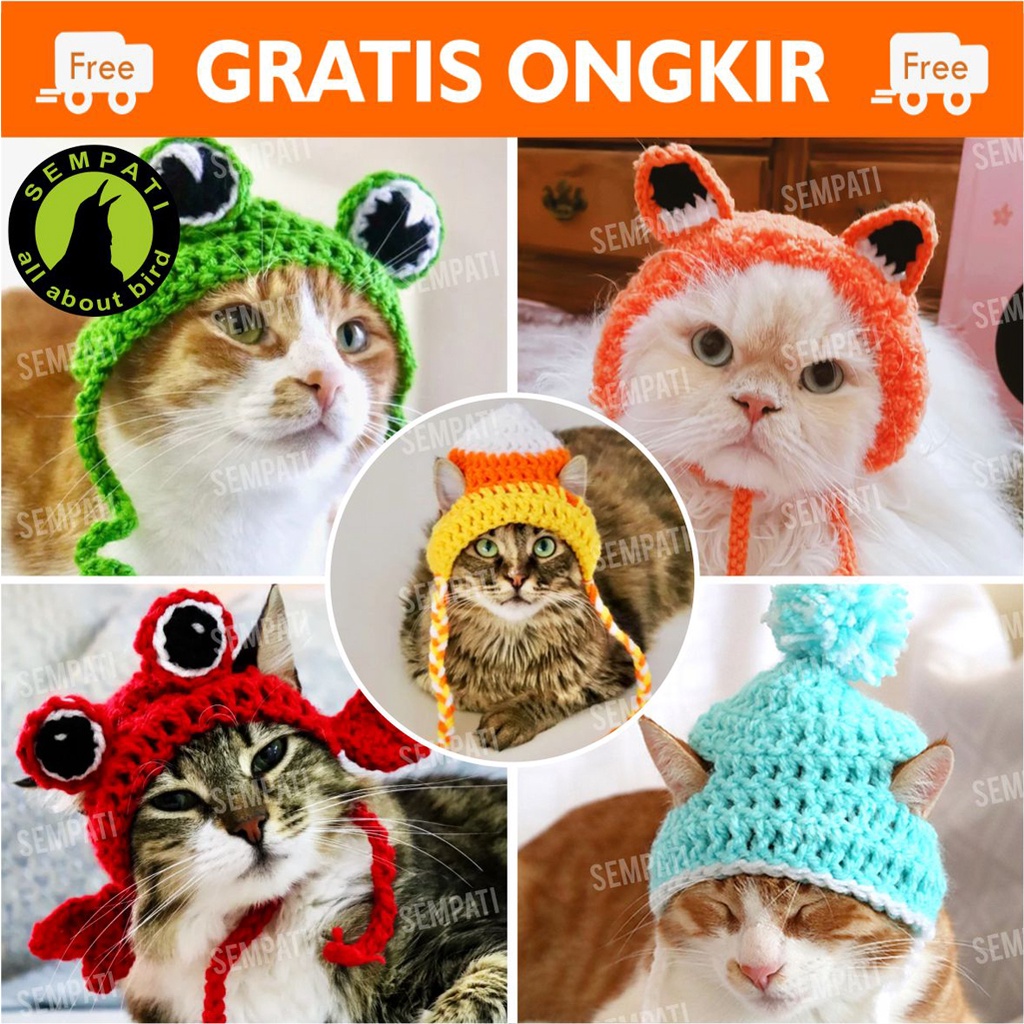 Jual Topi Kucing Anjing Rajut Motif Kodok Katak Baju Mainan Kucing Pet ...